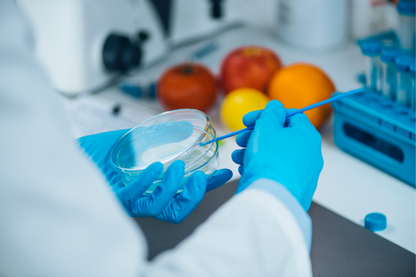 Blog: Sequencing Technologies in the Food Safety Industry