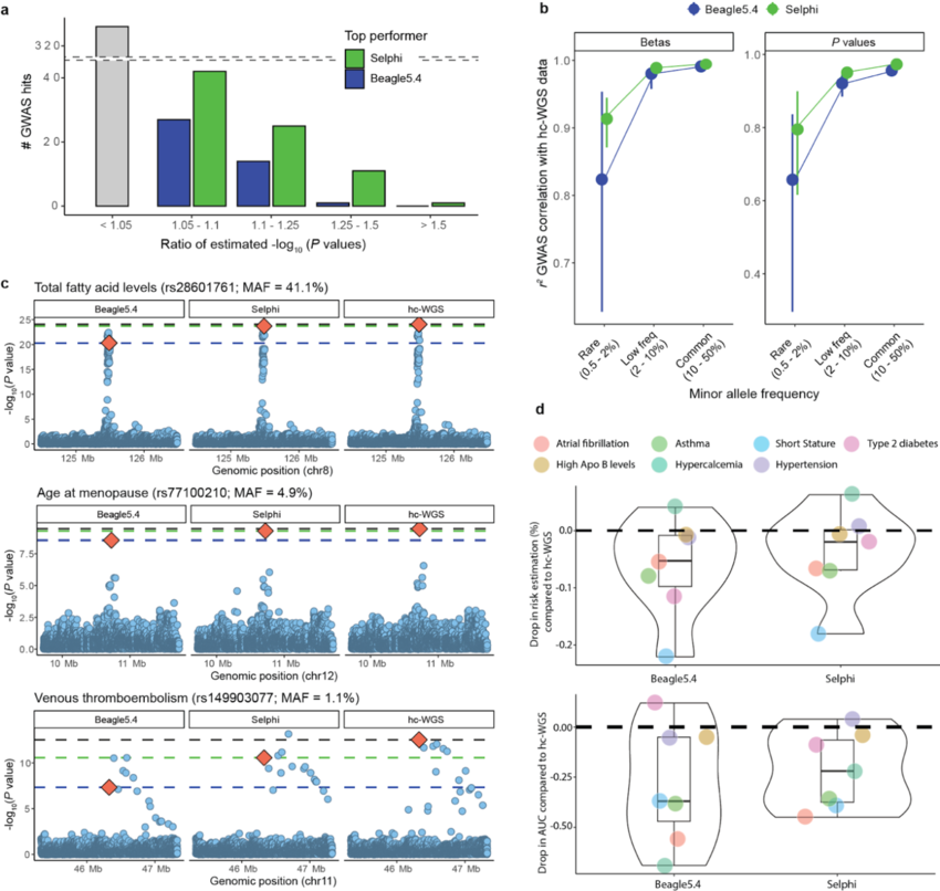 Blog: Revolutionizing Genomics: Accurate Genotype Imputation for Rare ...