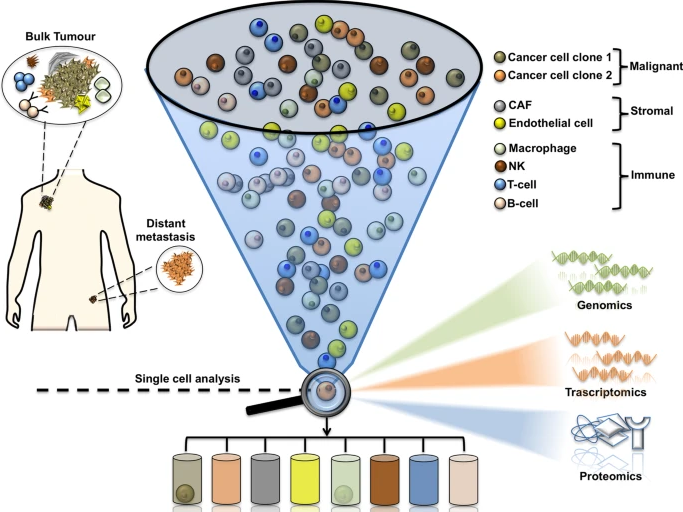 Deconstructing the Heterogeneity of Tumors via Single-Cell Sequencing