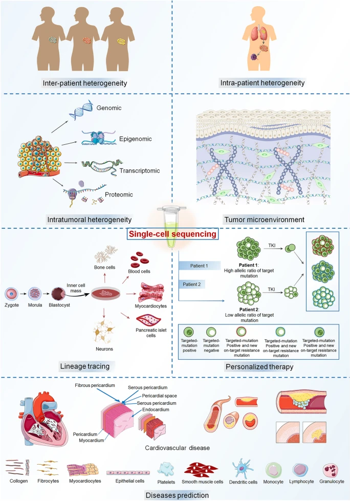 Deconstructing the Heterogeneity of Tumors via Single-Cell Sequencing
