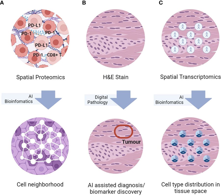 Overcoming Single-Cell RNA-seq Challenges in Cancer Research