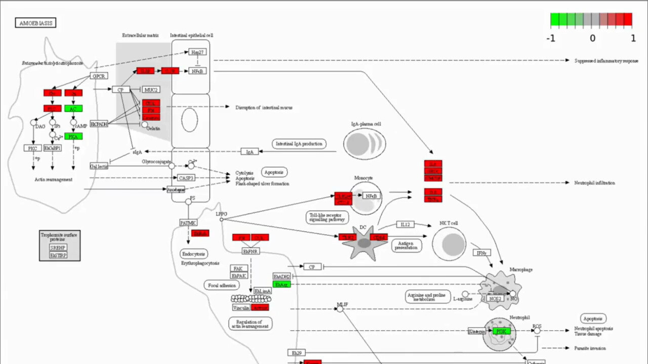 Bulk RNA-Seq Solutions | Cloud-Based Analytics Platform - g.nome