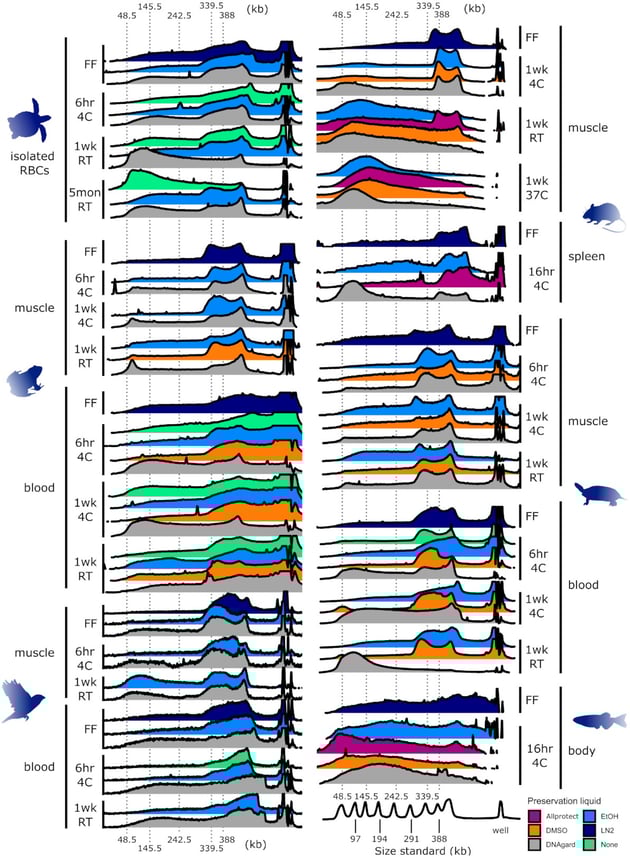 Blog: Unveiling Mechanism of Action through Data Science